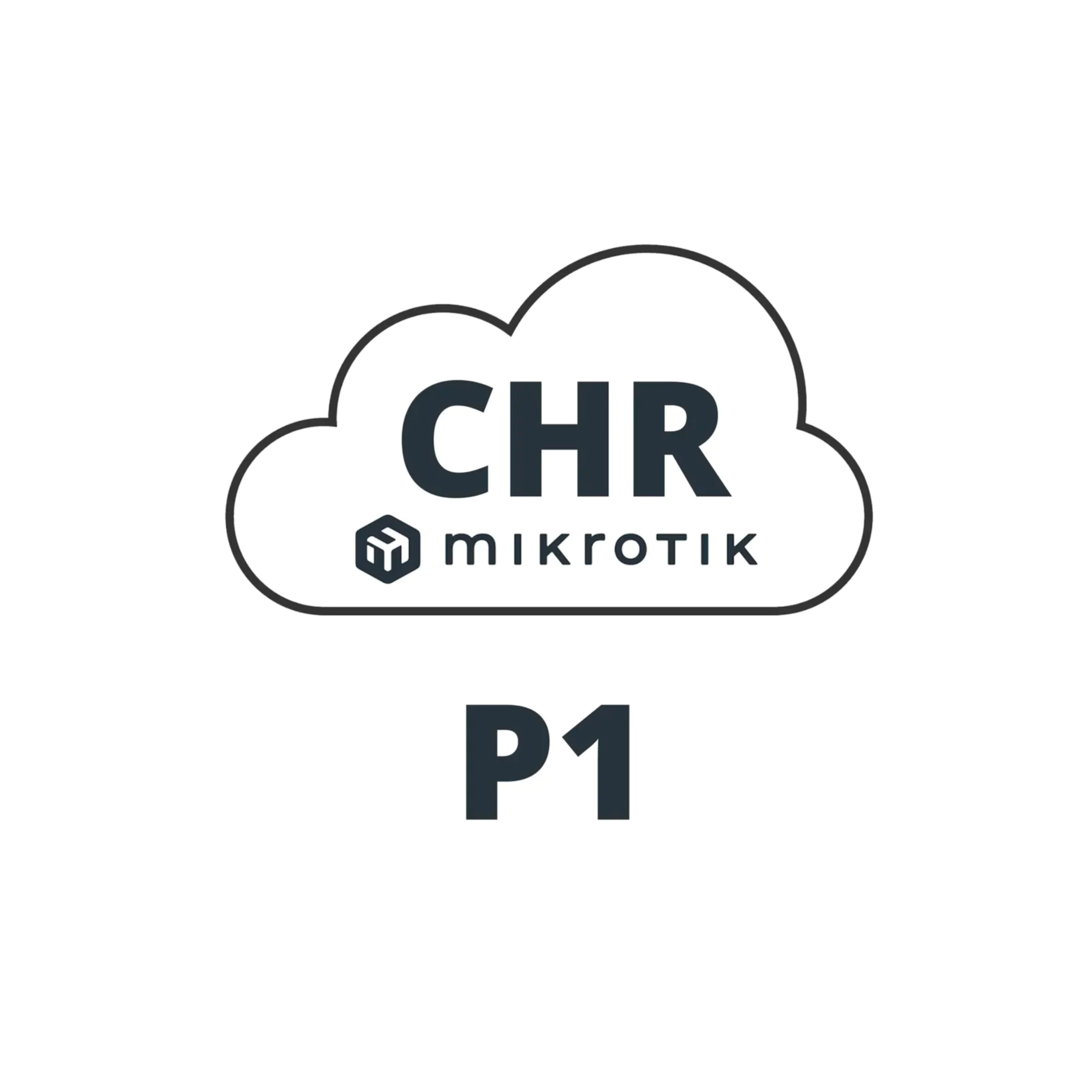 MikroTik Cloud Hosted Router P1 Perpetual 1Gbps Upload Per Interface [ – DoubleRadius