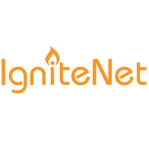 IgniteNet Replacement 48V Passive PoE Injector – GOT Distribution SPV II LLC