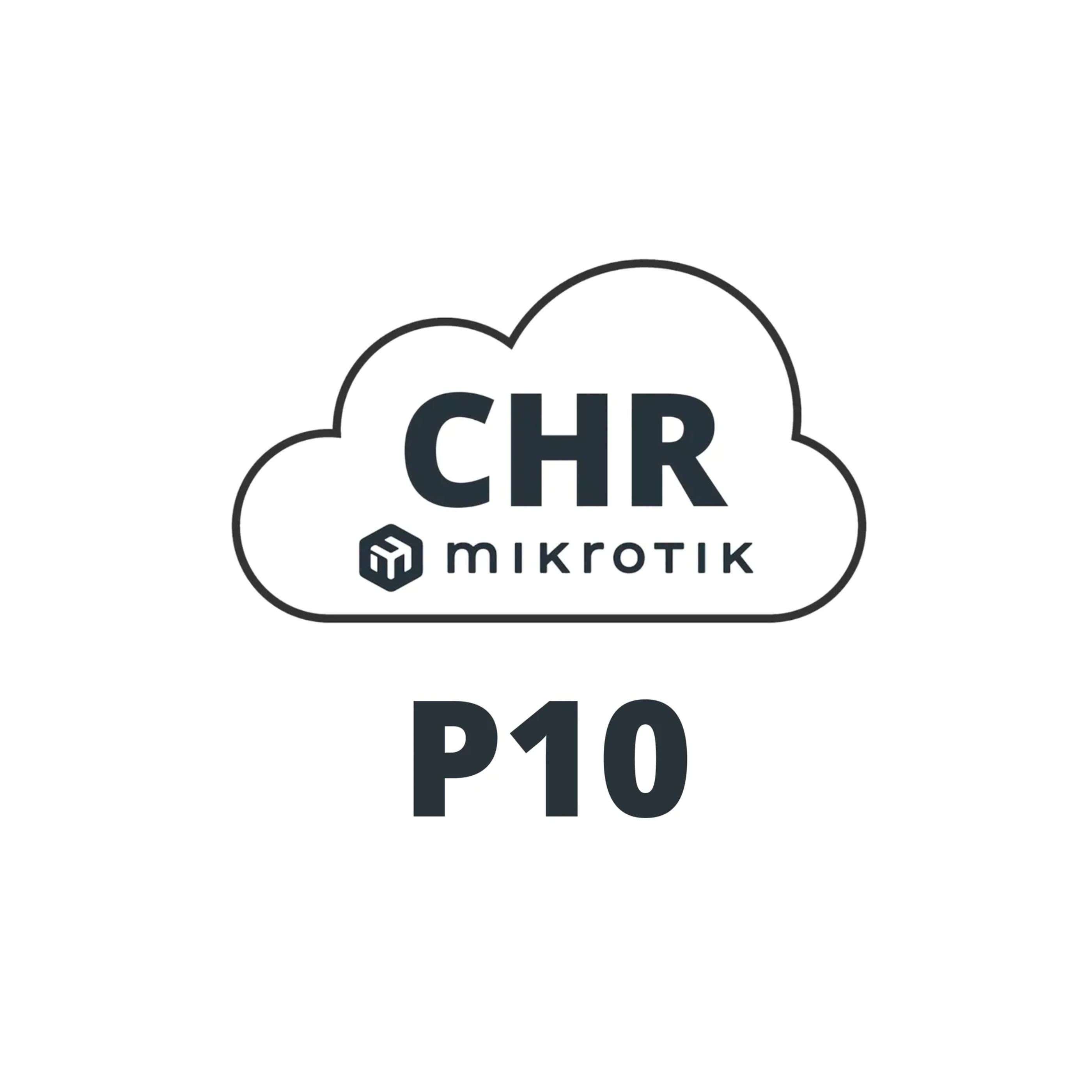 MikroTik Cloud Hosted Router P10 Perpetual 10Gbps Upload Per Interface ...