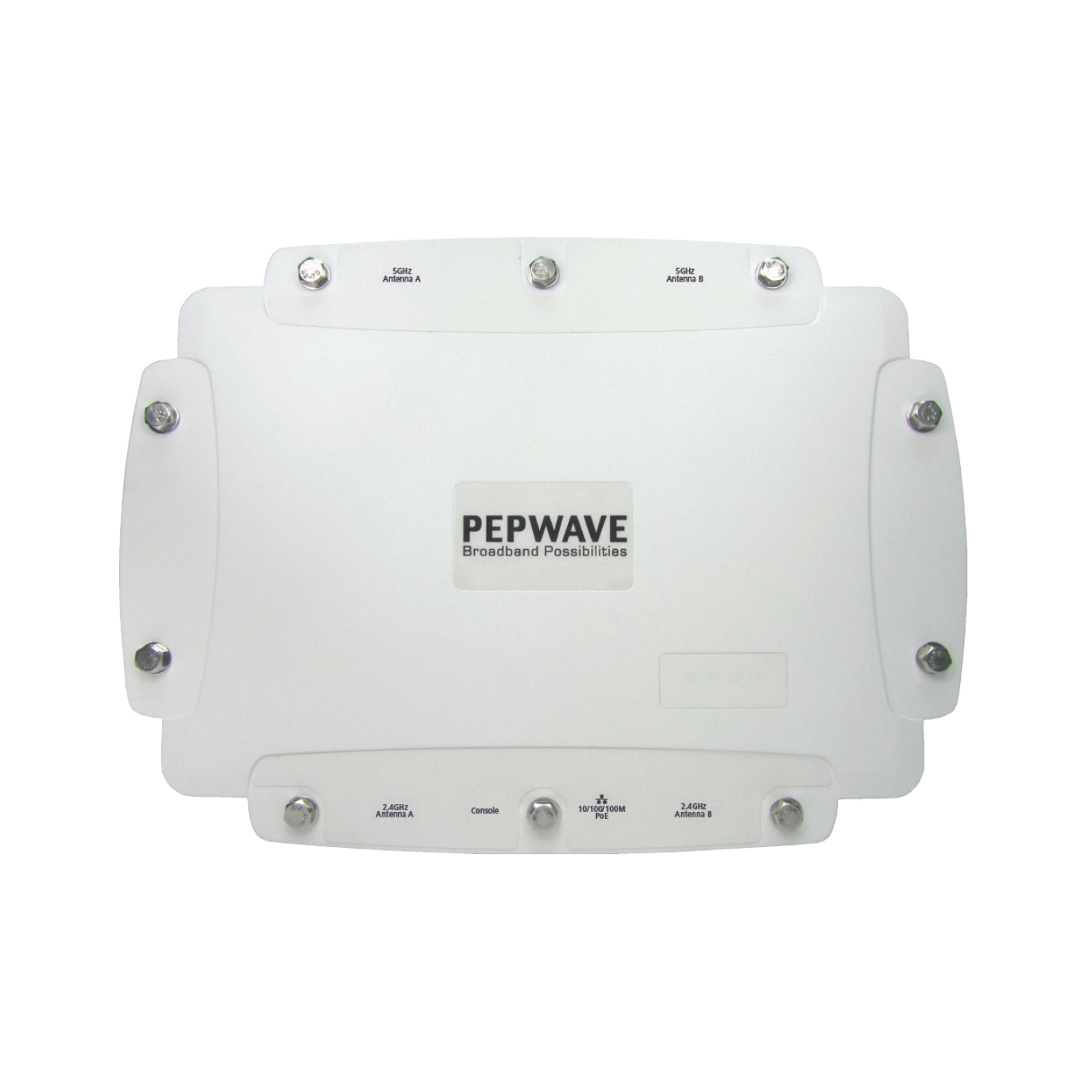 Pepwave AP Pro 300M 2.4/5GHz Wi-Fi Access Point Outdoor – DoubleRadius